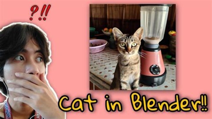 Horrific Truth Behind The "Cat Blender Real Video": Uncovering The Dark ...